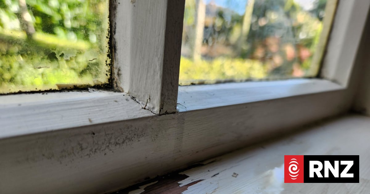 Broken windows, mould, badly-installed smoke alarms found in Dunedin ...
