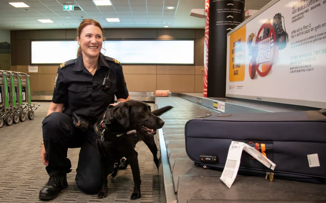 Inside the quiet war at Christchurch's border: How Customs fights ...