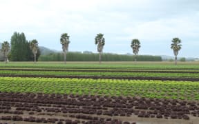 First Up for Monday 18 September 2023 First Up | RNZ