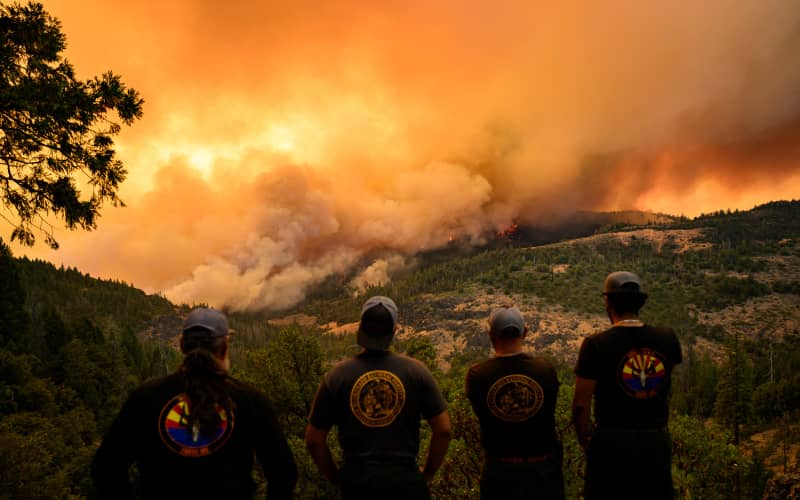 California wildfire explodes, becomes largest in US | RNZ