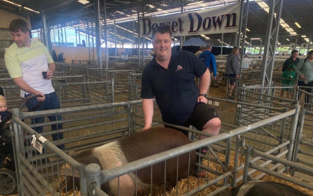 Young farmers dress to impress alongside pigs at Agricultural Show ...