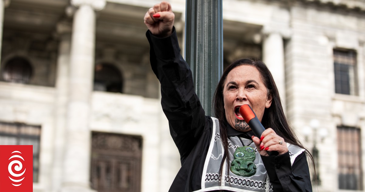 Protest action a stand against government insults to Māori - Te Pāti ...