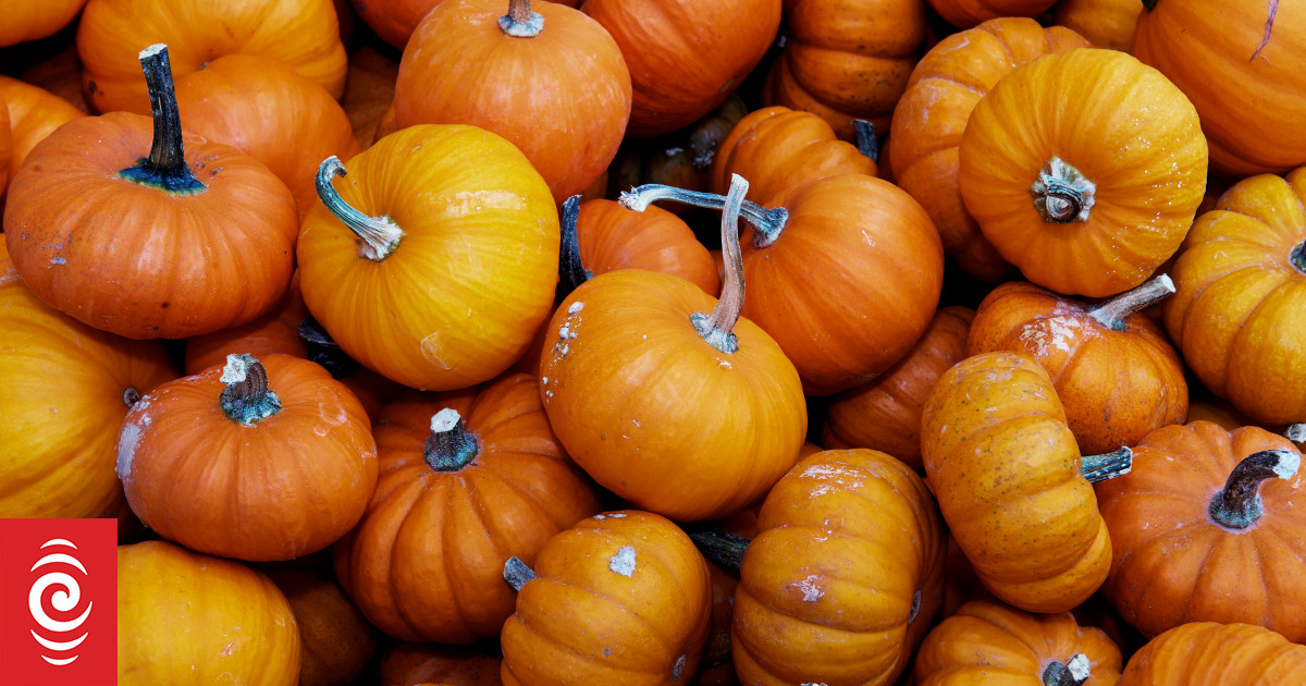Northern droughts fail to squash Tonga's pumpkin outlook | RNZ News