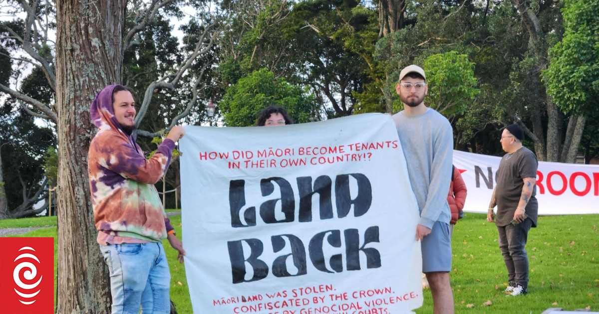 Protest against anti-cogovernance rally goes ahead in Auckland | RNZ News