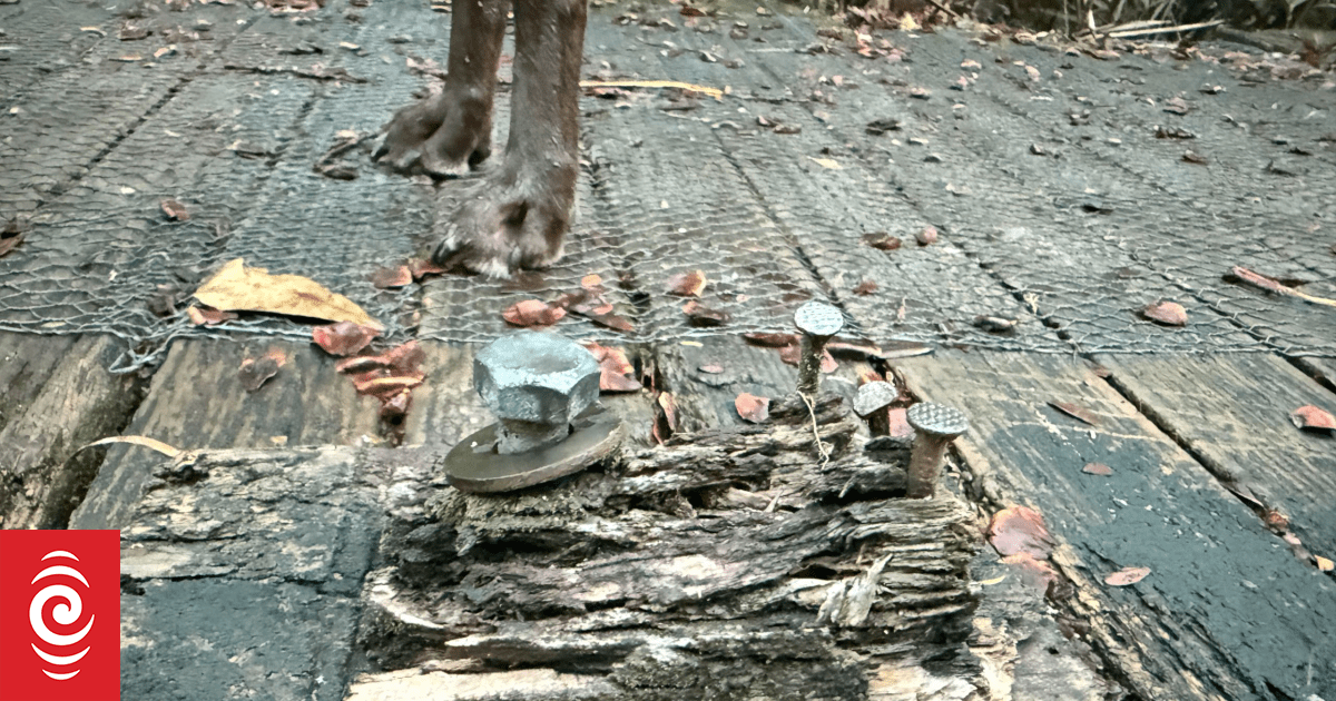 'Gaping holes, rusty bolts': Titirangi residents want dodgy footpaths ...