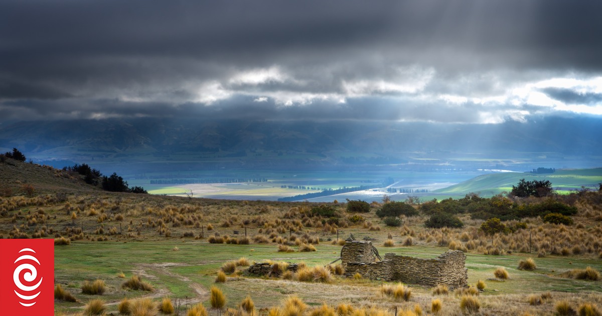 Old gold may create a rush | RNZ News