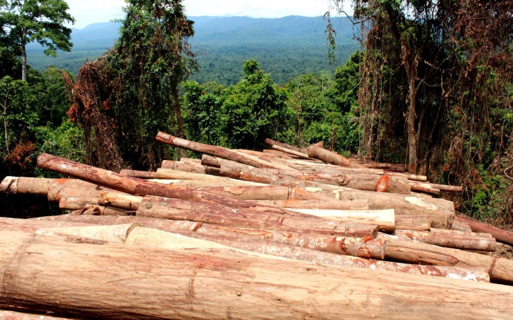 New export tax labelled 'disaster' for PNG's forestry industry | RNZ News