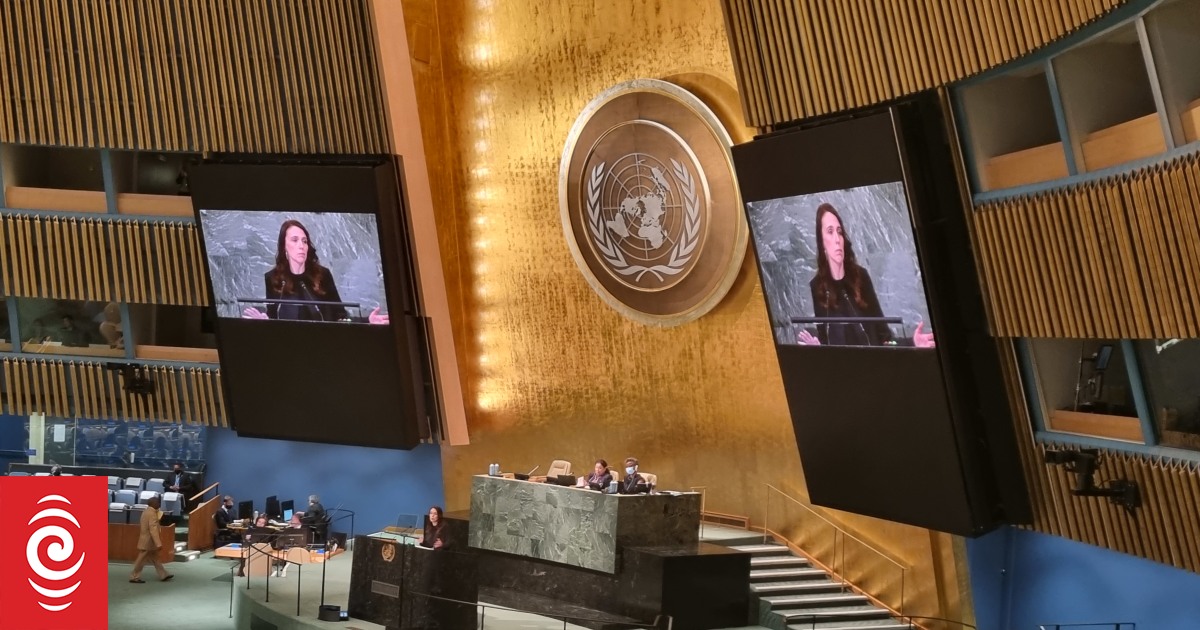 Political commentators Neale Jones & Tim Hurdle | RNZ