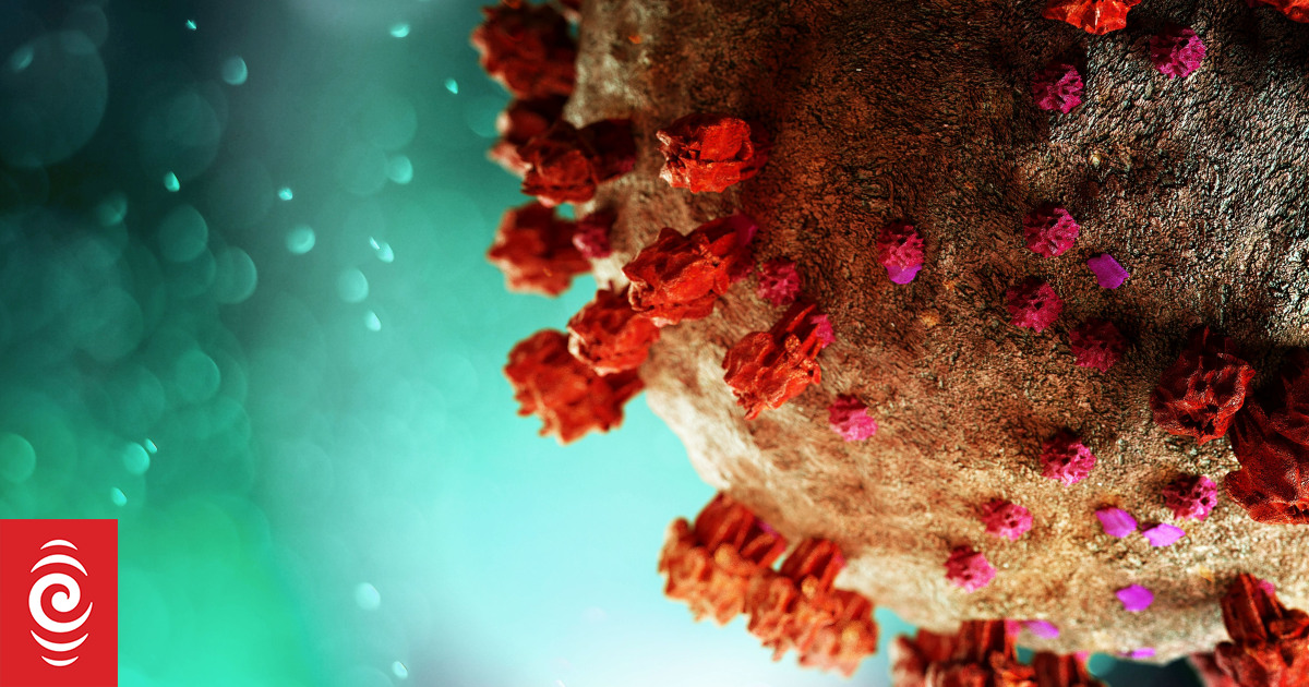 Swine flu and other bugs back in Covid's wake | RNZ