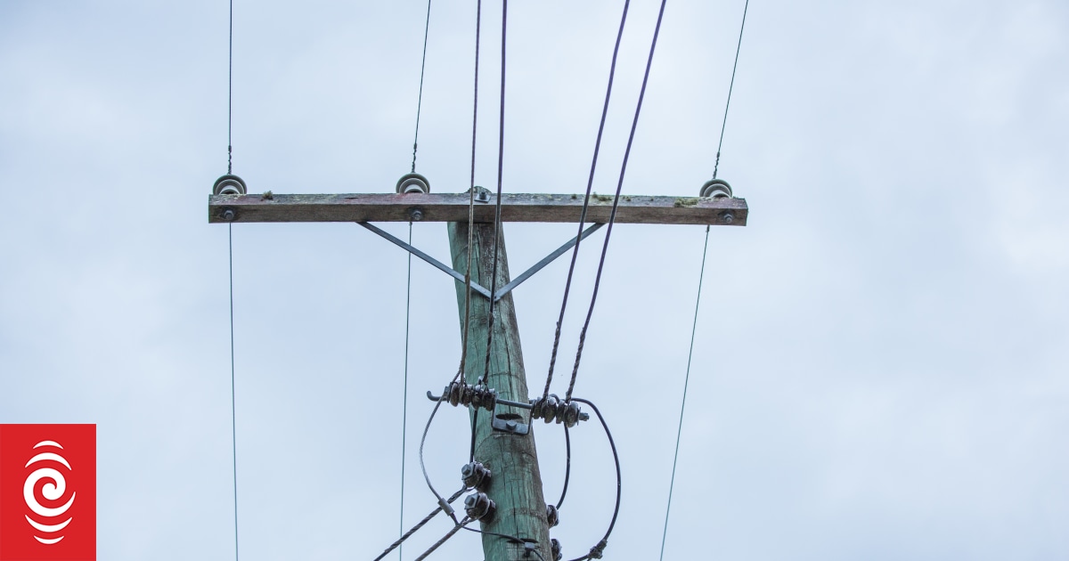 Car hits pole in West Auckland, knocking out power | RNZ News