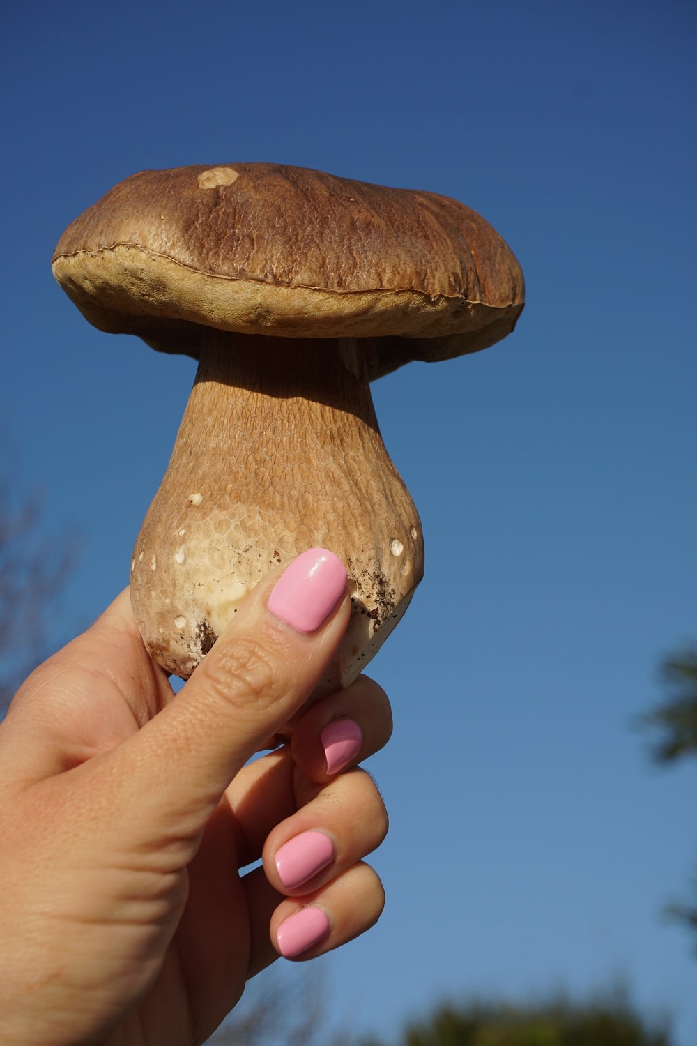 Saturday Morning for Saturday 13 May 2023 Saturday Morning | RNZ