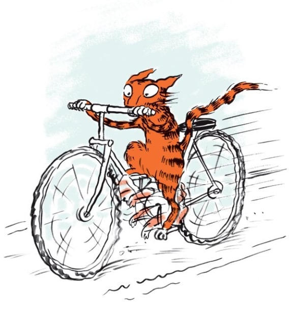 Sharon Murdoch's cartoons | A Gallery from Afternoons | RNZ National