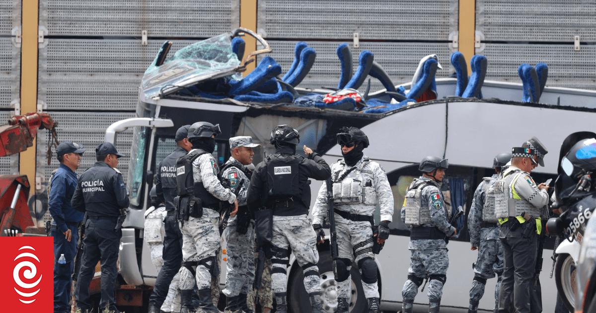 10 killed, 41 injured after train hits bus in Mexico | RNZ News