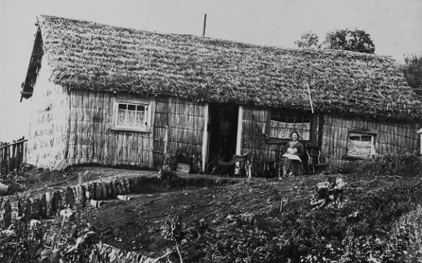 Researchers link Māori housing inequities to 180 years of restrictive ...