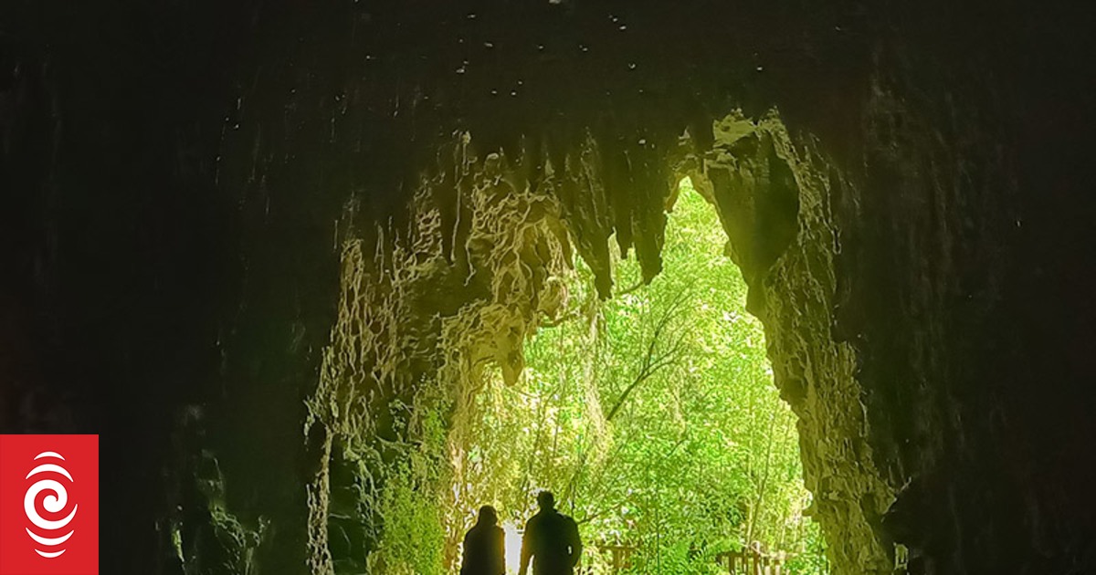 Off the beaten track: Seaweek and the solace of wild places | RNZ