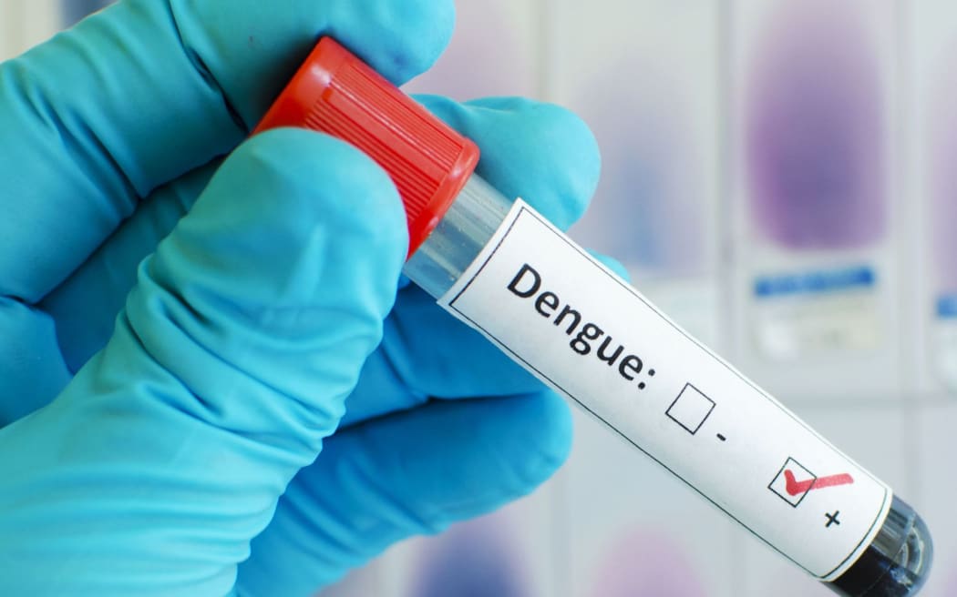 Dengue impact widespread in Pacific in past 18 months | RNZ News