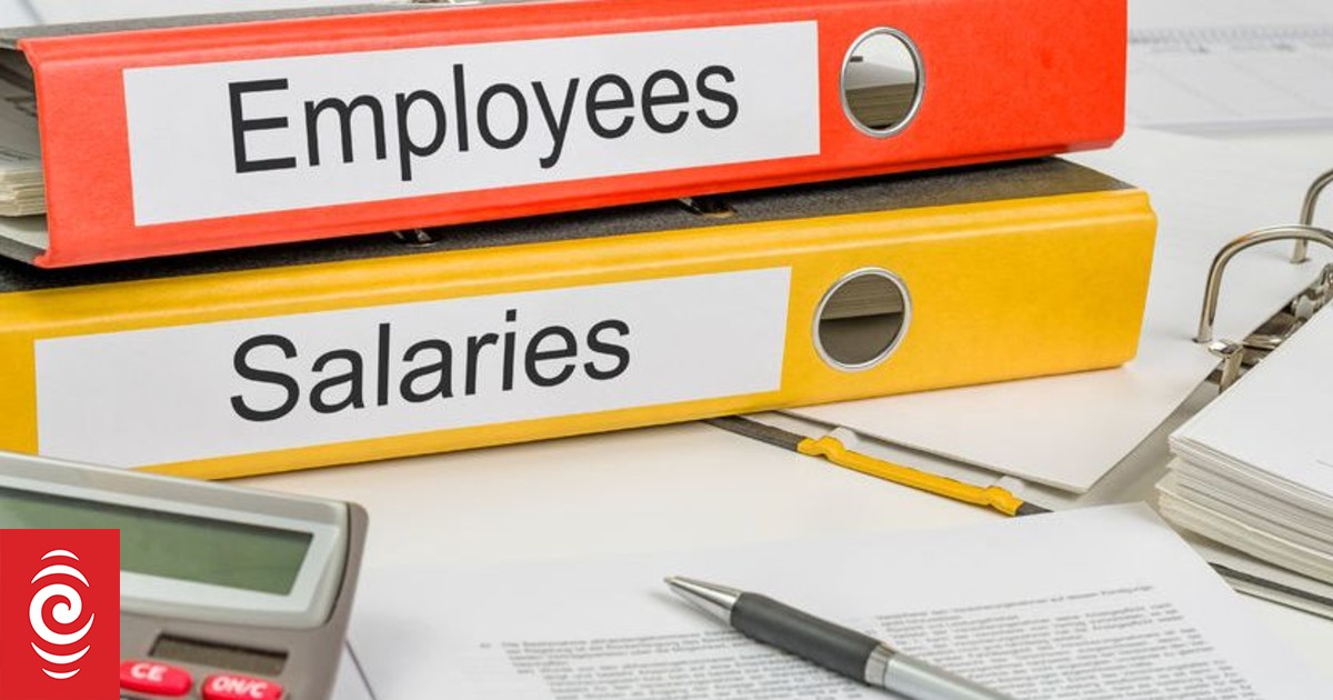 Payroll mess prompts govt to review Holidays Act | RNZ News