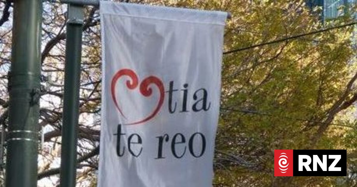 Language policy 'would help Te Reo' | RNZ