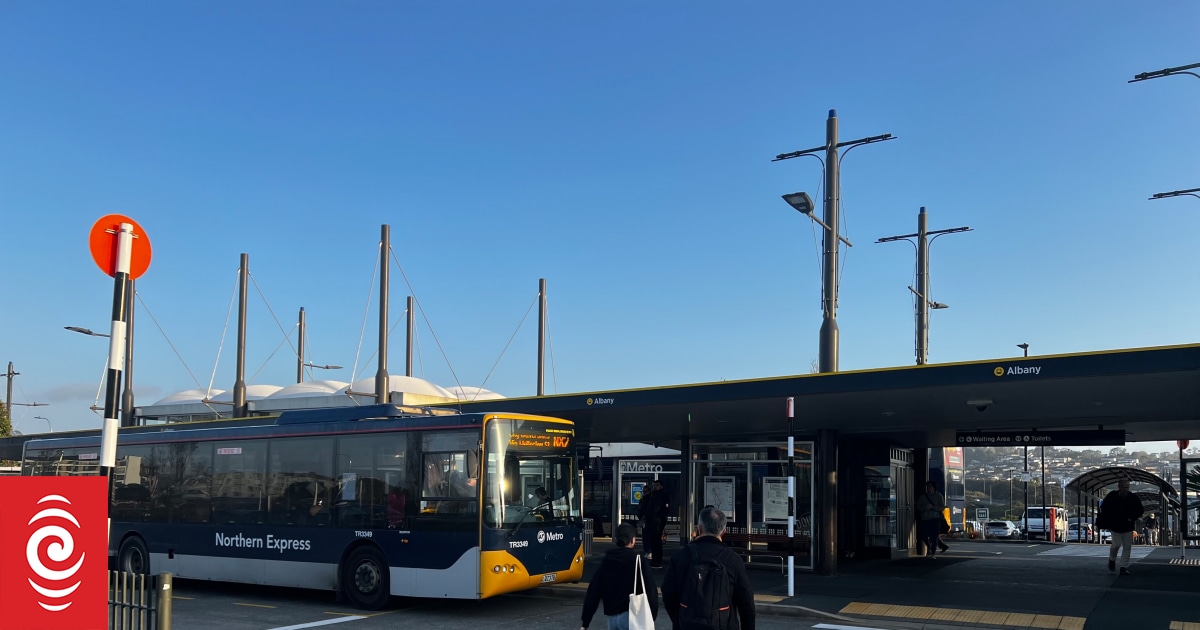 Auckland bus station violence prompts increased police, security ...