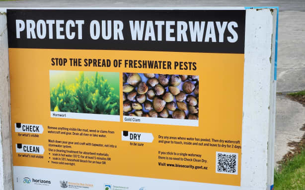 Gold clam threat prompts warning to Whanganui River boaties | RNZ
