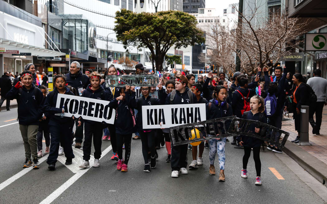 Show us what you're doing for Māori Language Week - Commissioner | RNZ News