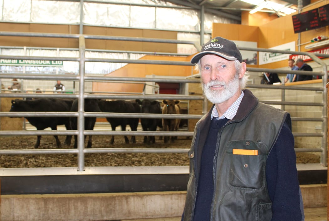 Under the Hammer | RNZ