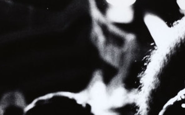 Great New Zealand Album: Mark Williams by Mark Williams | RNZ