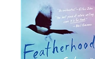 Book Review - Featherhood by Charlie Gilmour | RNZ
