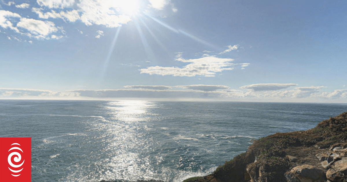 Surfer bitten in fourth NSW shark attack in 48 hours | RNZ News