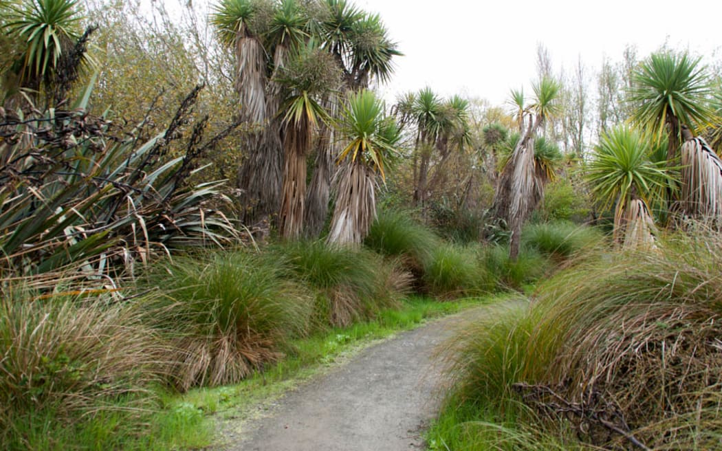 Afternoons for Tuesday 11 July 2023 Afternoons | RNZ