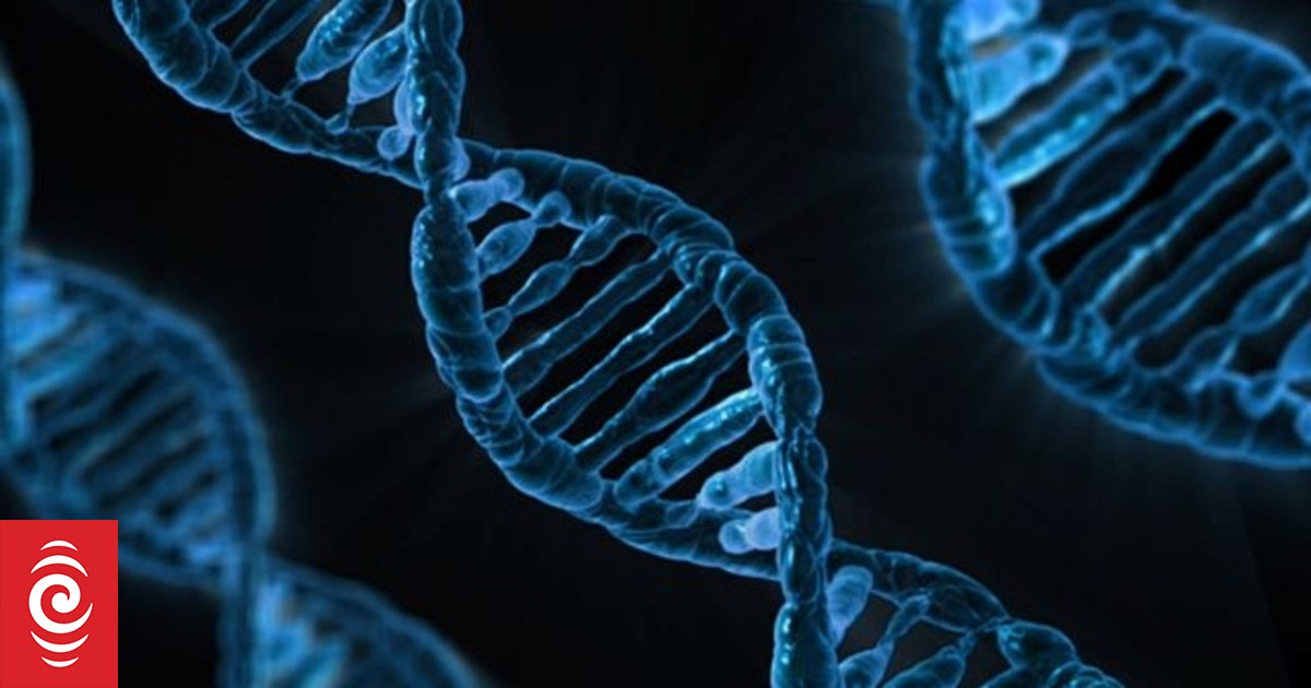 NZ needs to embrace gene editing technology - scientist | RNZ News