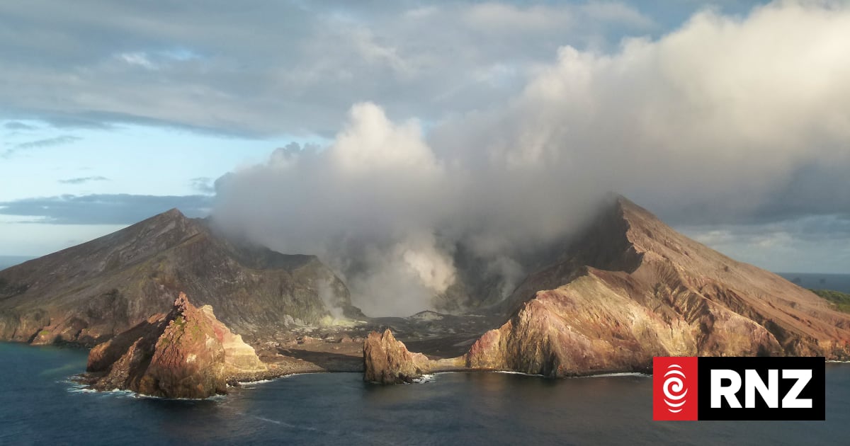 'Everyone was screaming and running': Whakaari eruption survivor tells ...