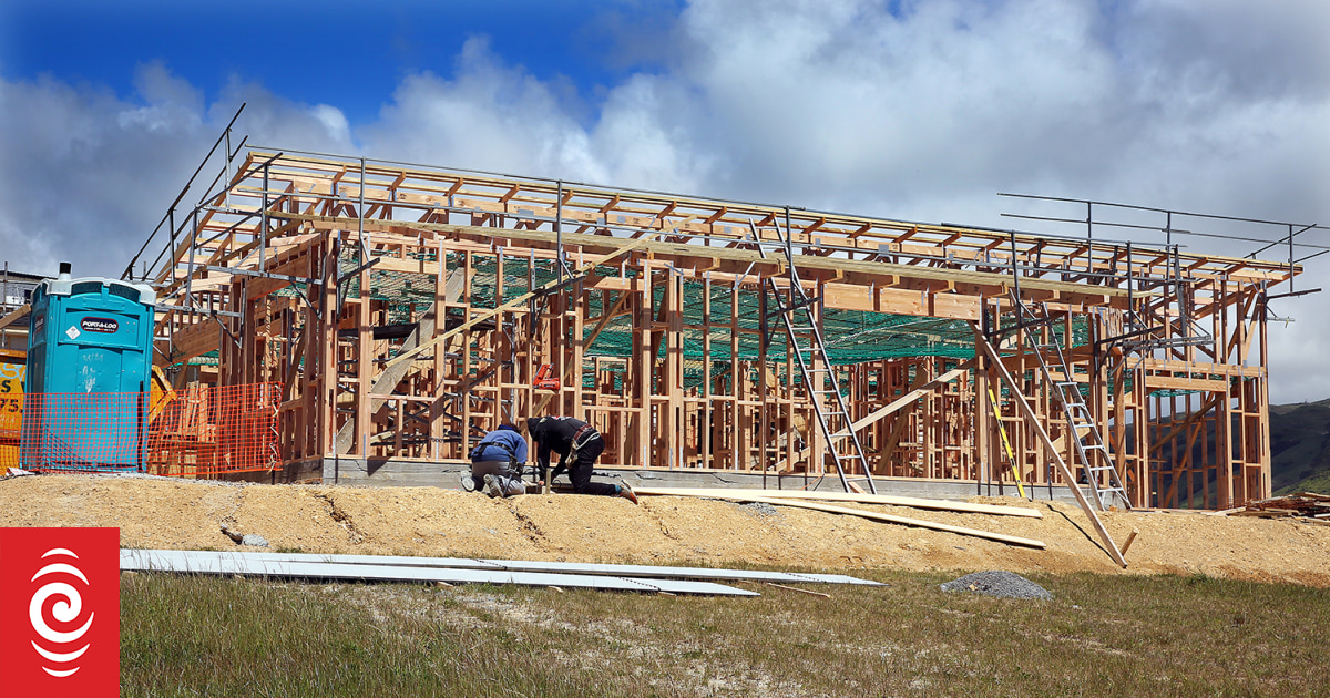 Concerns over new, streamlined building consent process | RNZ News