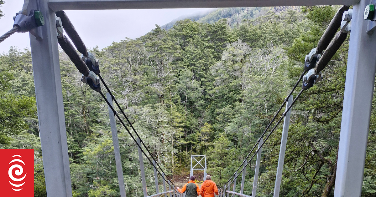 Lake Sylvan Track access restored with new bridge | RNZ News