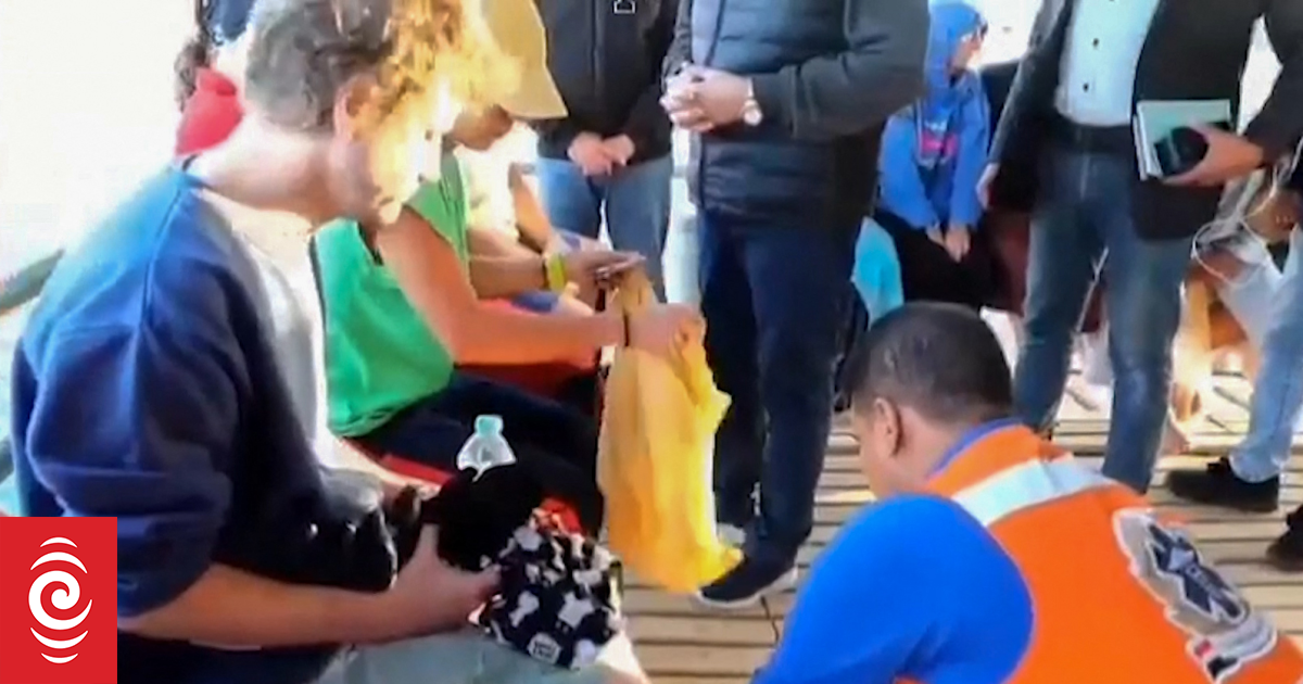 Four bodies recovered from capsized tourist boat off Egypt's Red Sea ...