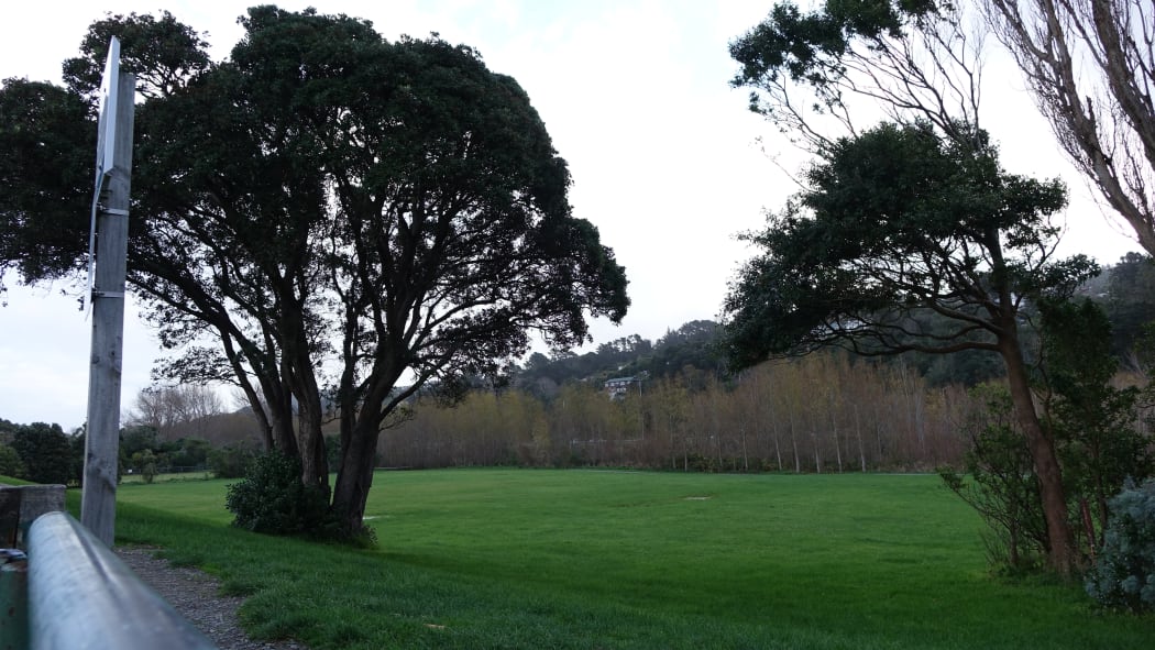 Lower Hutt attack an isolated incident - police | RNZ News