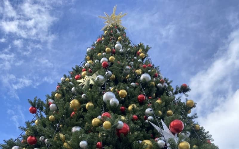 Fire-damaged Christmas tree replaced by Timaru businesses | RNZ