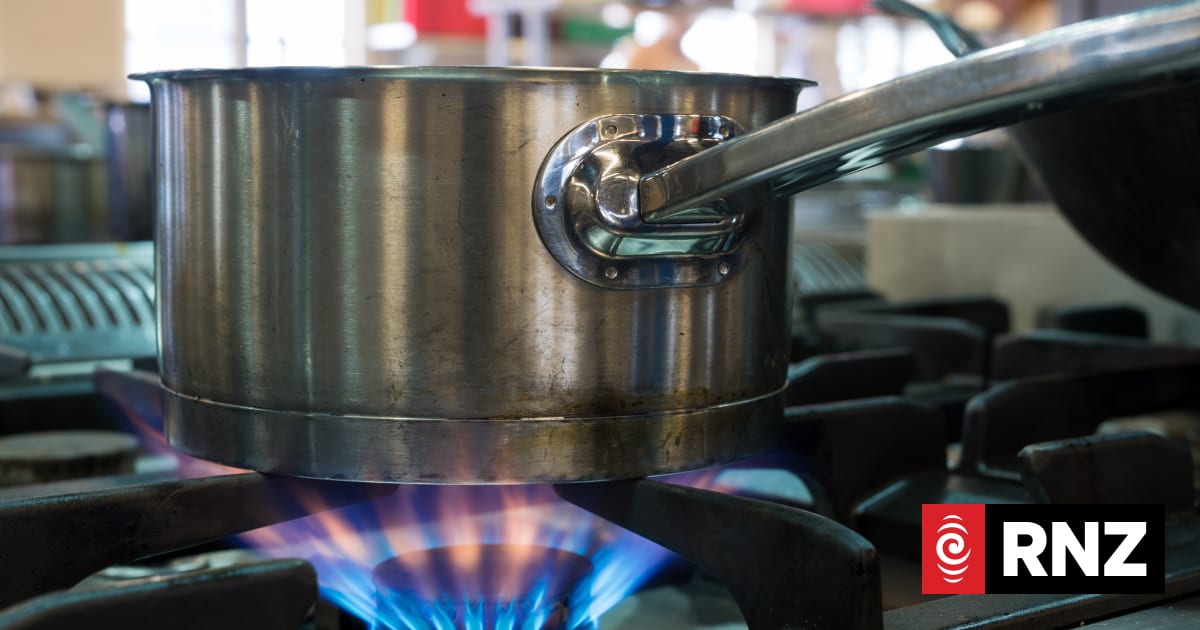 Possible 'death spiral' for piped gas network when prices rise, report ...