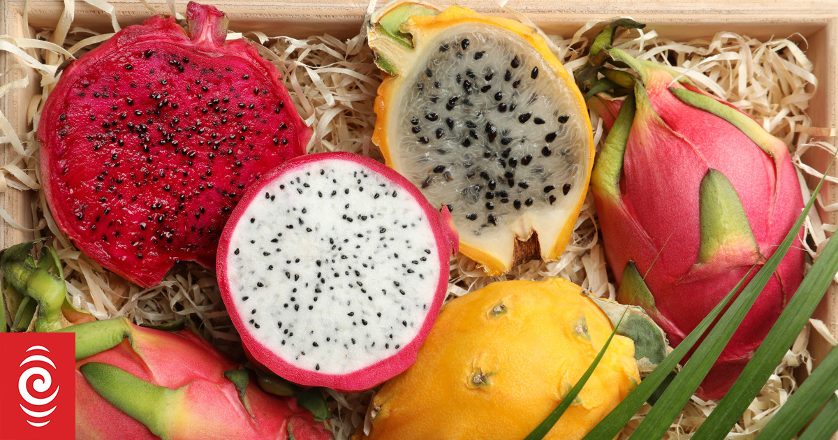 Fruit and Vege Report with Glenn Forsyth | RNZ