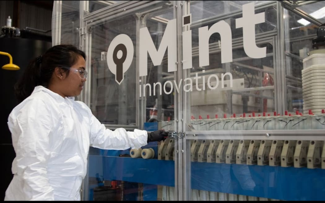 Mint recognised by World Economic Forum | RNZ