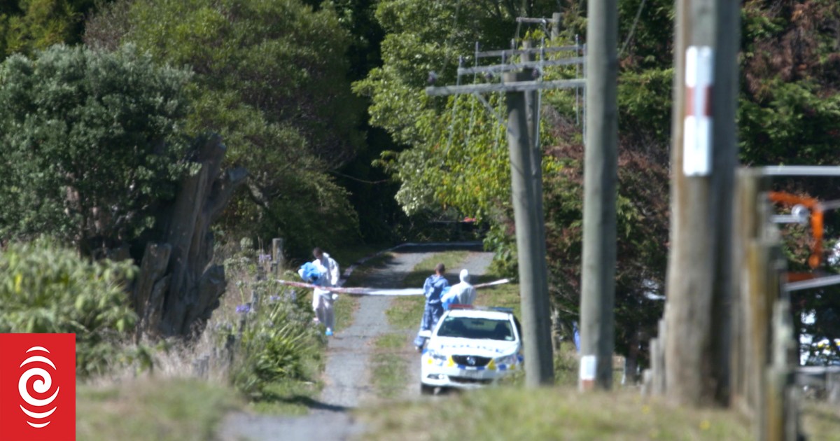 Denver Chance murder trial - detective describes scene | RNZ