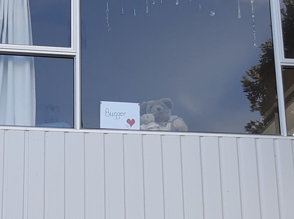 NZ Bear Hunt - August 2021 | A Gallery from Midday Report | RNZ National