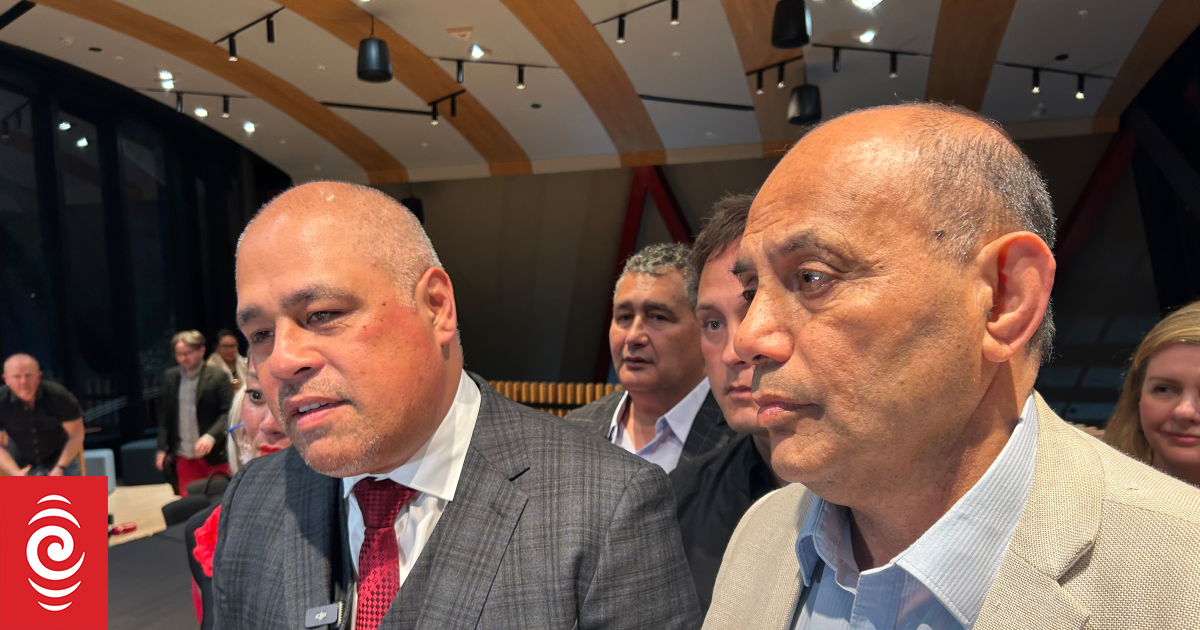 Labour goes back to drawing board after bruising Tāmaki Makaurau by ...