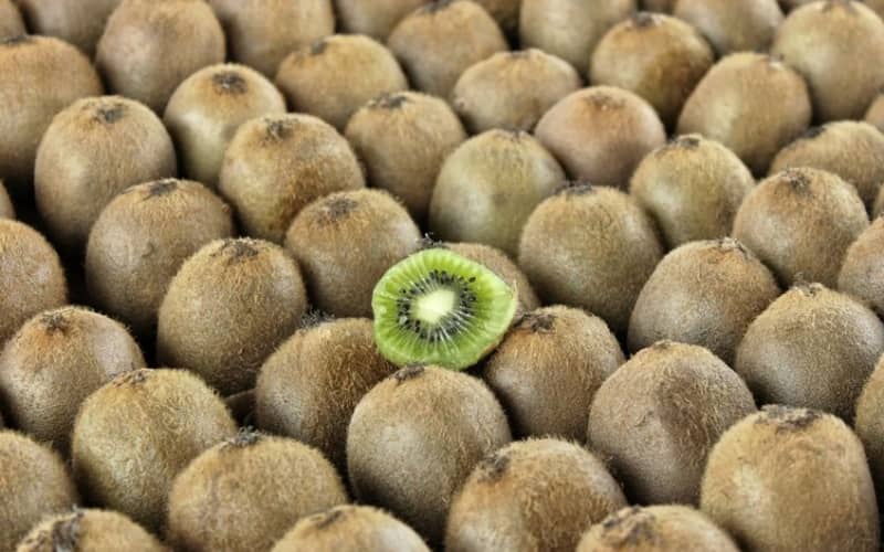 Kiwifruit growers have 'extraordinary' season | RNZ