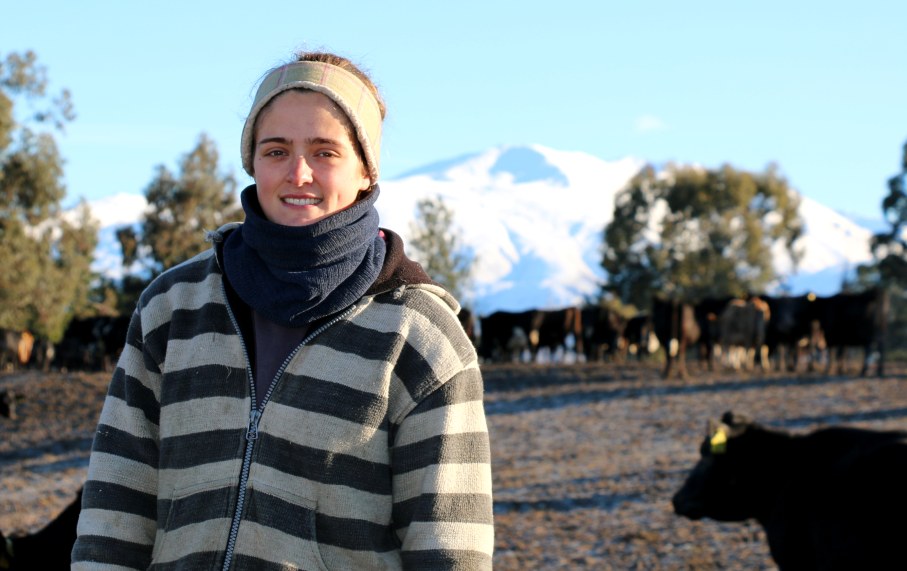 Dairy trainee of the year takes the reins on Fairlie farm | RNZ