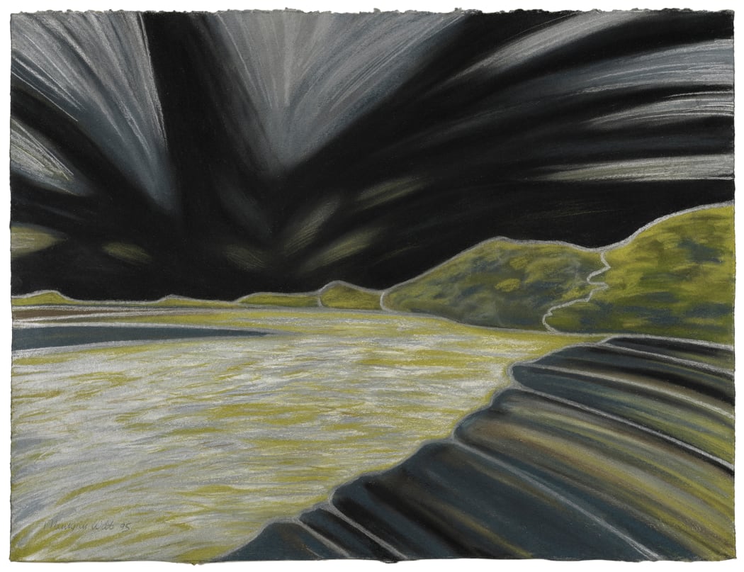 Connecting to our landscapes through artist Marilynn Webb | RNZ