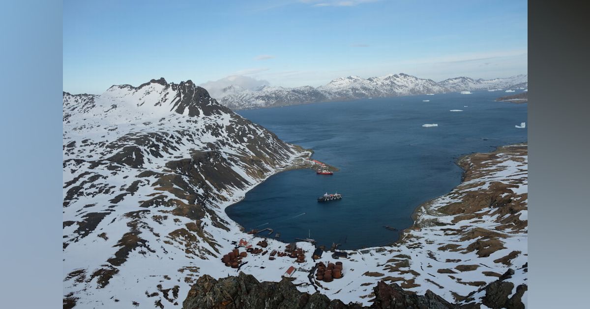 Afternoons for Wednesday 21 February 2024 Afternoons | RNZ