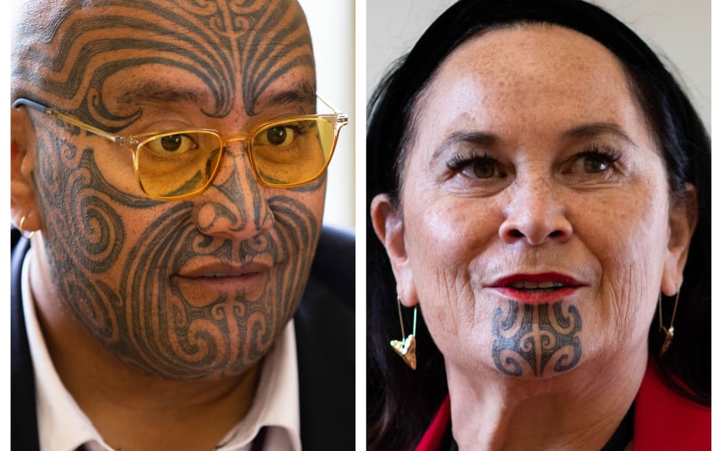 Te Pāti Māori committed to holding other parties to account on a 'Te ...
