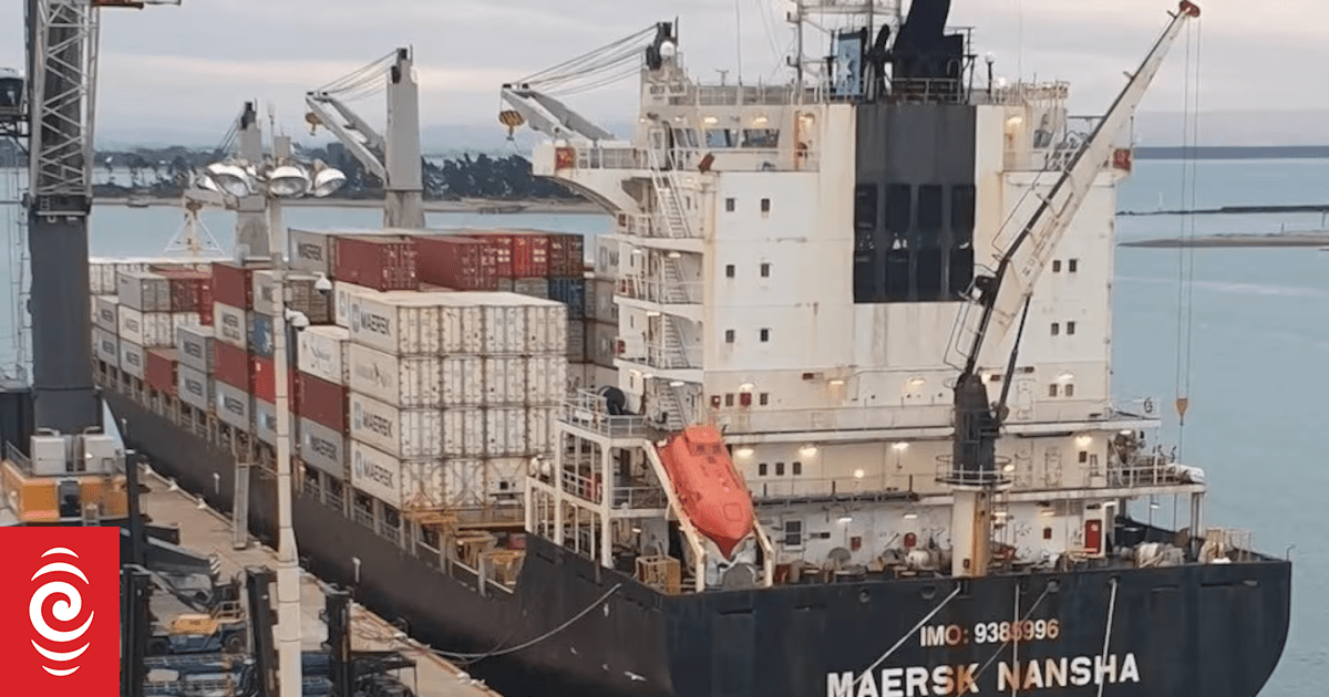 Union calls for tougher laws after stevedore falls from cargo ship at ...