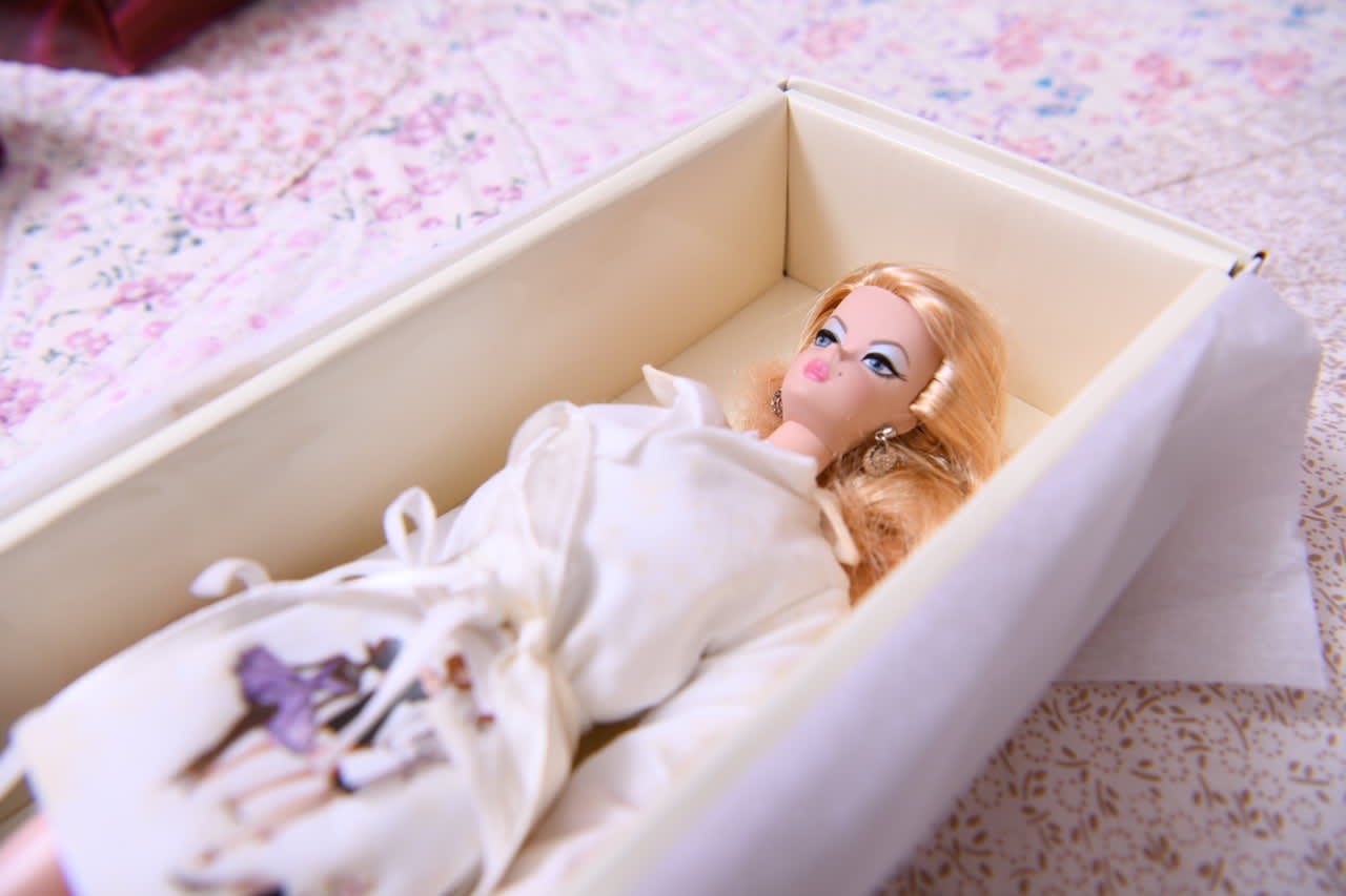 Patsy Carlyle: the Barbie Collector | A Gallery from Saturday Morning ...
